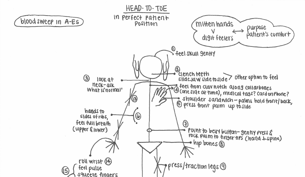 Patient Assessment Visualizing The Head to Toe Exam